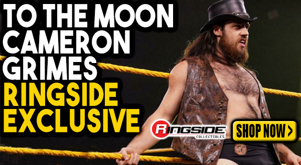 WWE Toys, Mattel WWE Figures, AEW Figures, Mattel Toy Wrestling Action ...