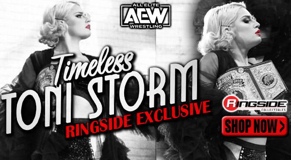 WWE Toys, Mattel WWE Figures, AEW Figures, Mattel Toy Wrestling Action ...