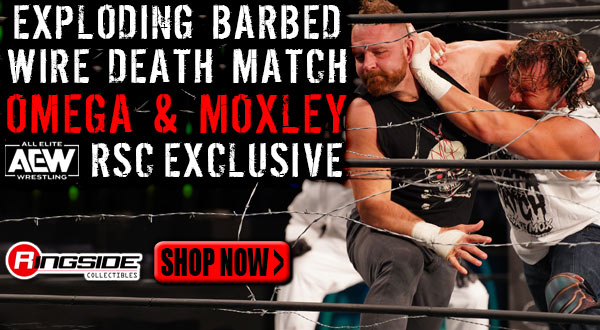 WWE Toys, Mattel WWE Figures, AEW Figures, Mattel Toy Wrestling Action ...