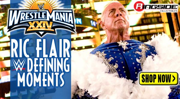 WWE Toys, Mattel WWE Figures, Mattel Wrestling Action Figures, Jakks ...