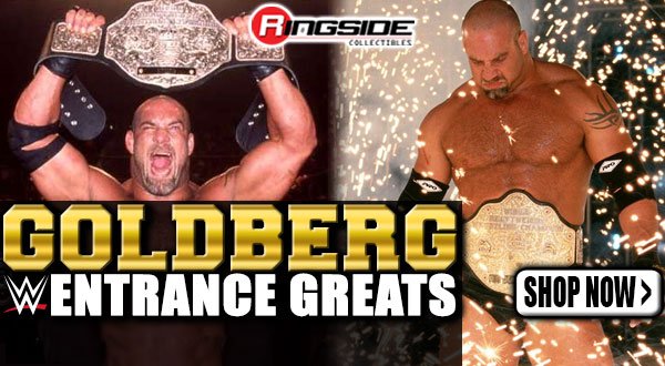 WWE Toys, Mattel WWE Figures, Mattel Wrestling Action Figures, Jakks ...